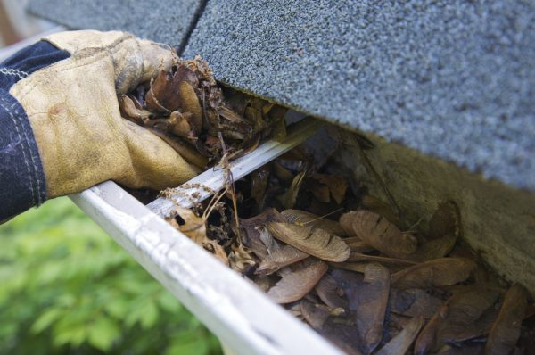 How To Leaf-Proof Your Gutters | Gutter Maintenance Fairfield
